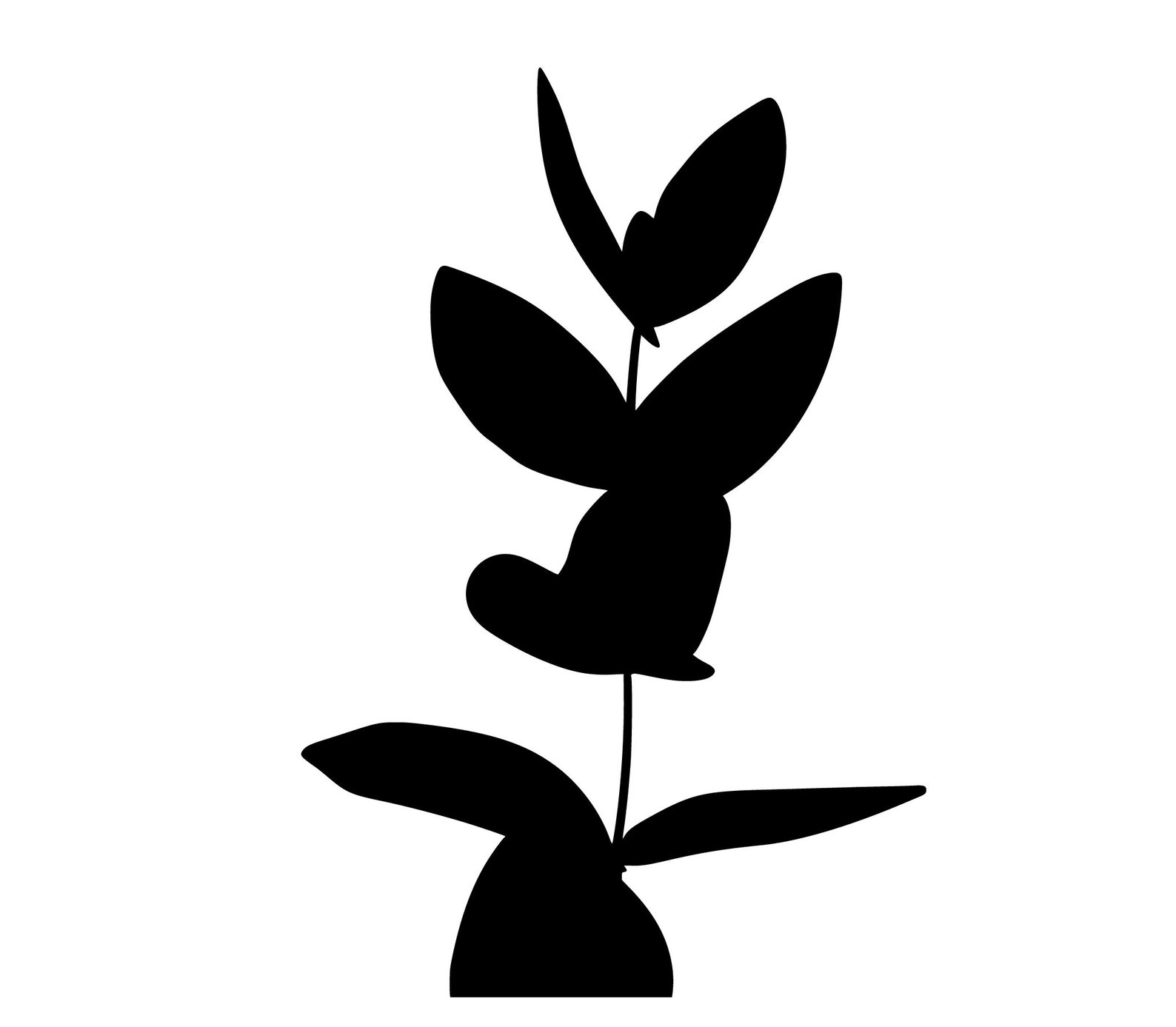 Eucalyptus Svg Eucalyptus Bundle Eucalyptus SVG Clipart - Etsy