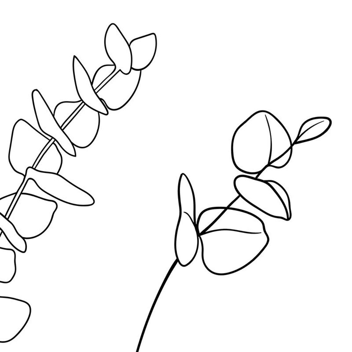 Eucalyptus SVG Eucalyptus Bundle Leaves Svg Botanical Svg | Etsy