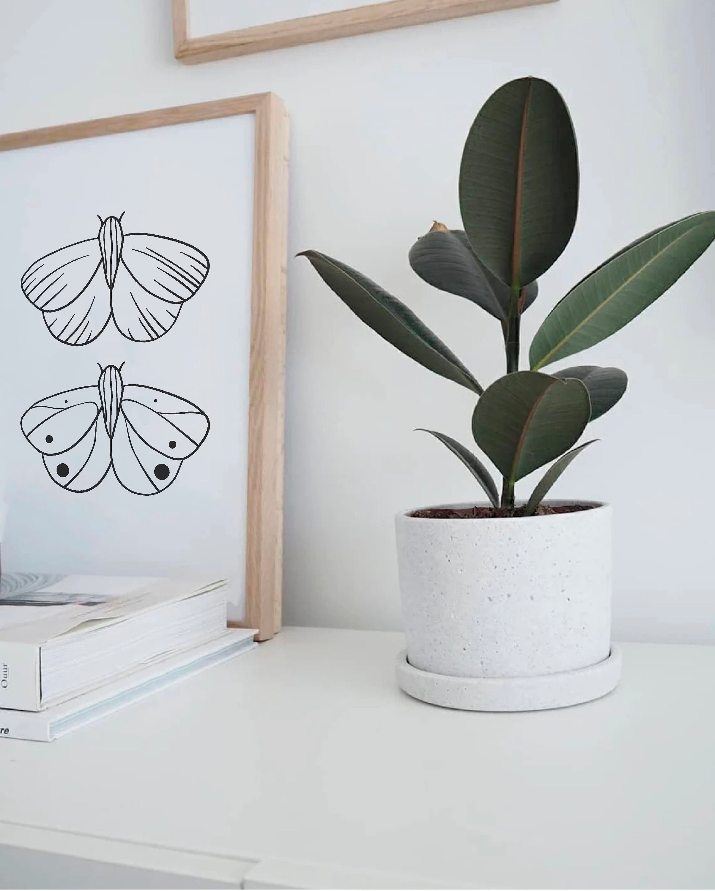 Moth Svg Butterfly Svg Bundle Celestial Moth Svg Boho Png - Etsy