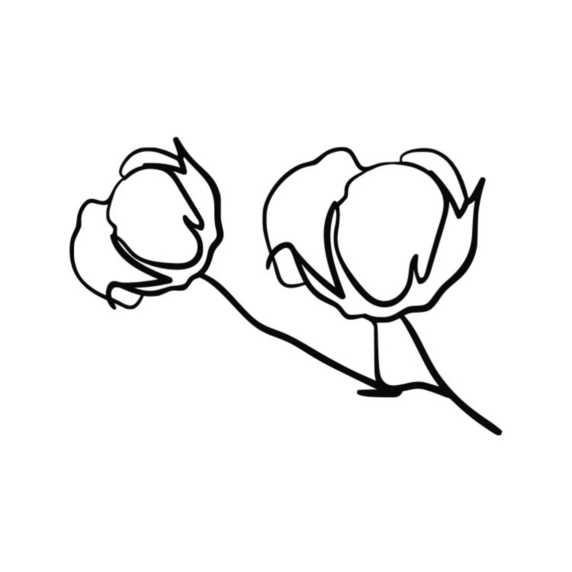 Cotton Svg Botanical Svg Floral Svg Bundle Cotton | Etsy