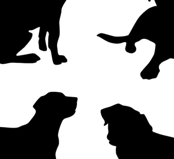 Laboratorium Silhouet Creative Lab Amsterdam Jungle Silhouette Geel