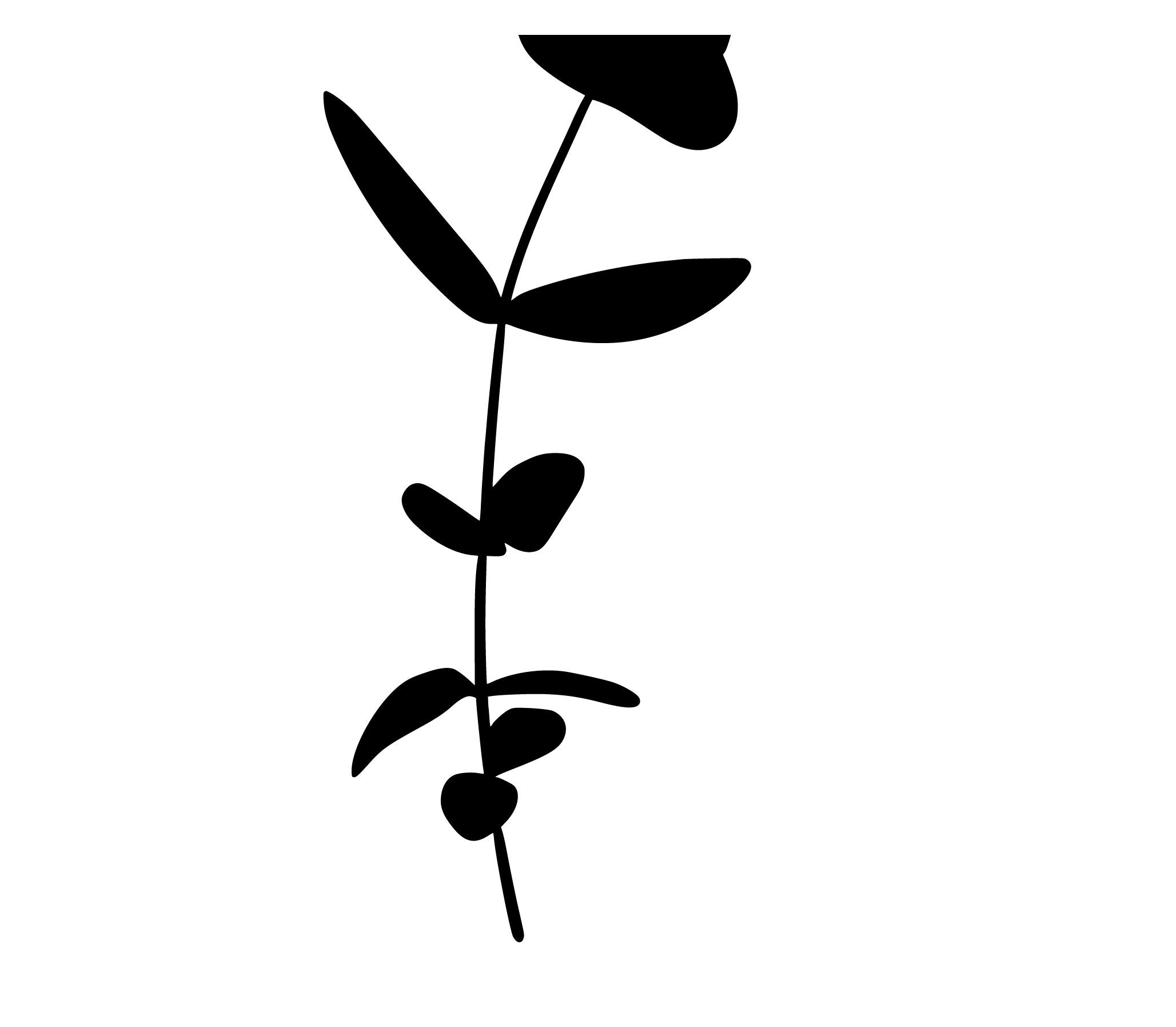 Eucalyptus Svg Eucalyptus Bundle Eucalyptus SVG Clipart | Etsy