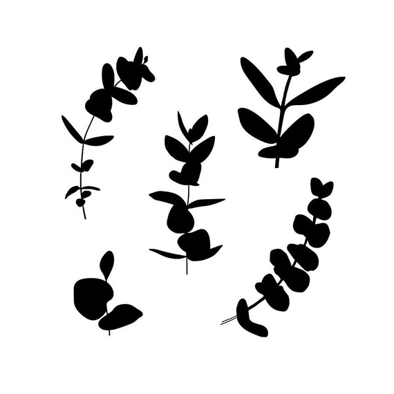 Eucalyptus Svg Eucalyptus Bundle Eucalyptus SVG Clipart | Etsy