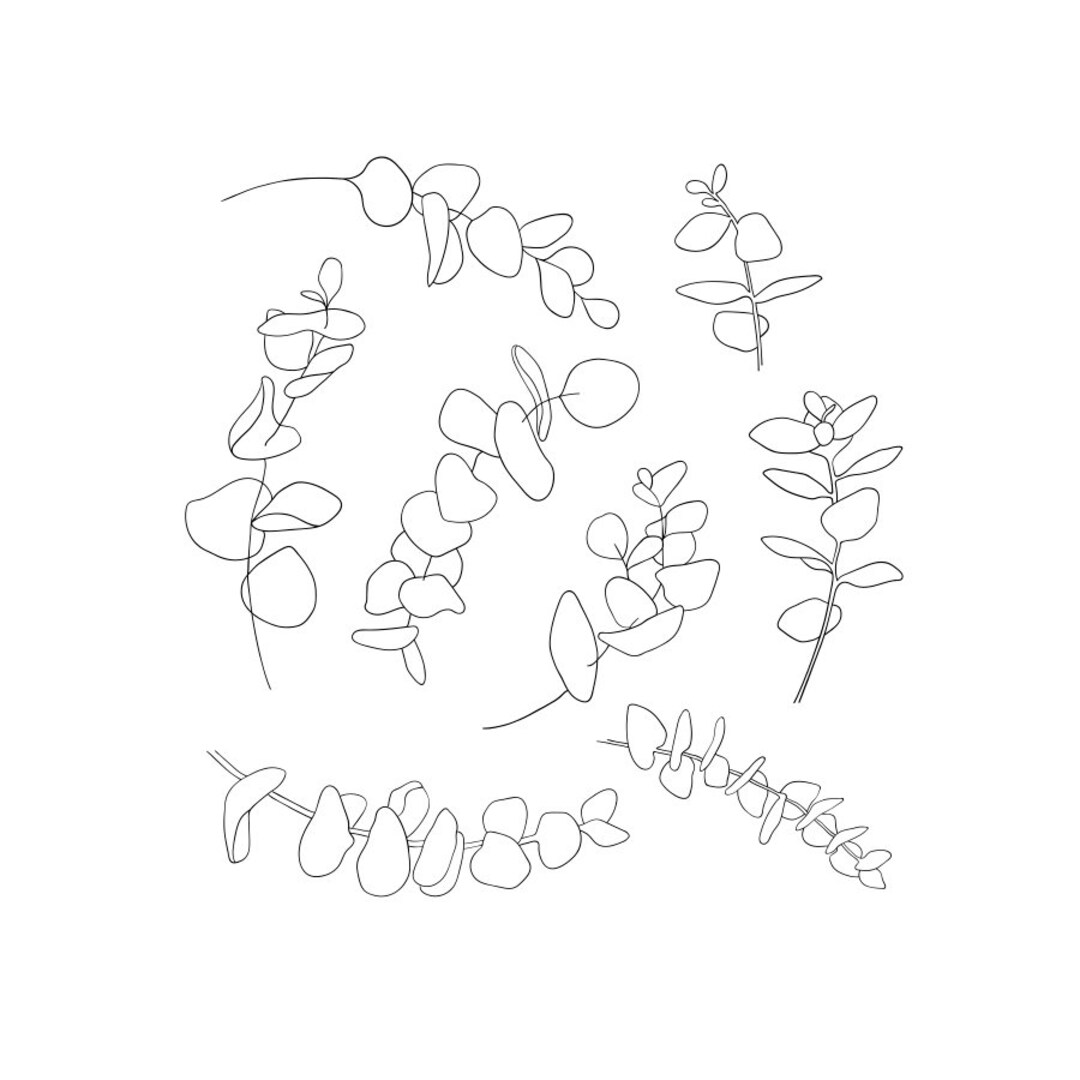 Eucalyptus Svg, Eucalyptus Bundle, Eucalyptus SVG Clipart, Eucalyptus ...