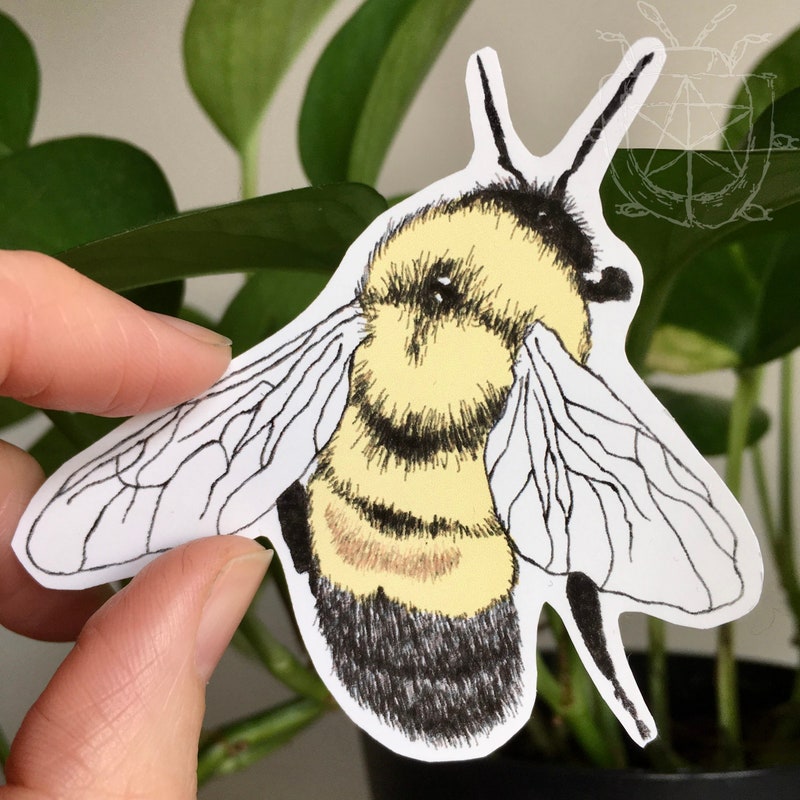 Scientific Illustrations - Etsy