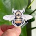 Rusty Patch Bumble Bee Worker (3 Pack) | Science Illustration | Bombus ...