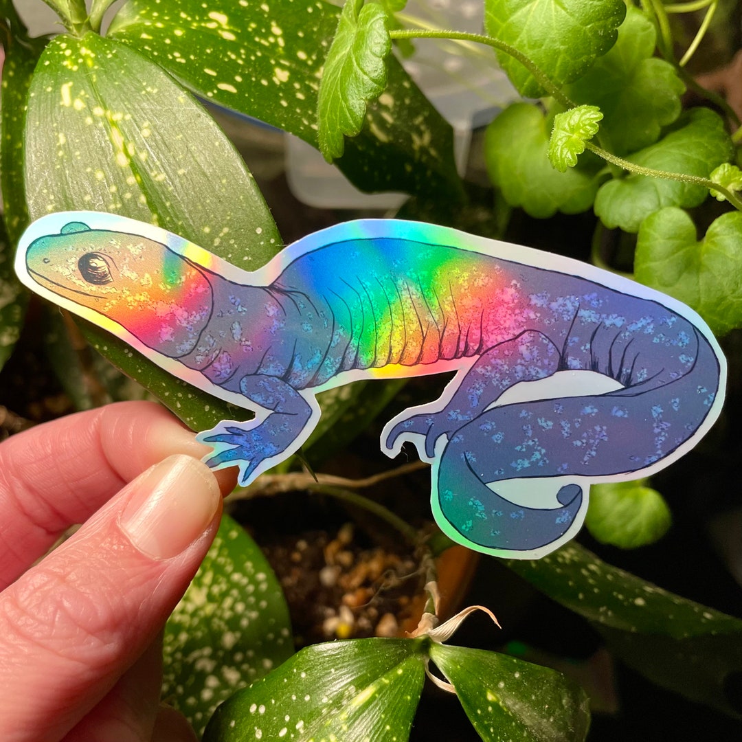 Blue Spotted Salamander Sticker | Holographic - Etsy