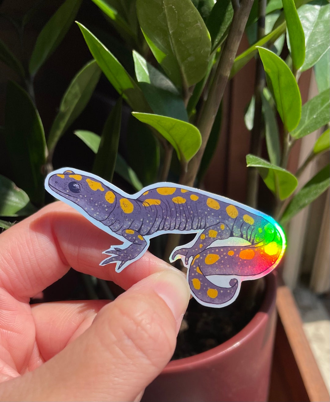Spotted Salamander Holographic Vinyl Sticker | Science Illustration - Etsy