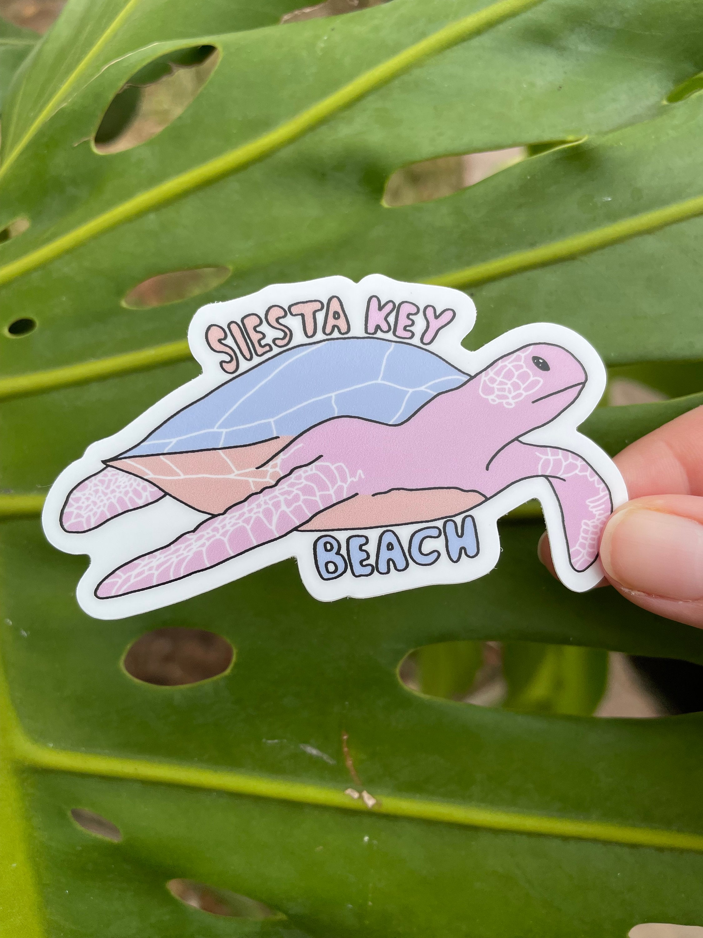 Siesta Key Beach Turtle Sticker Siesta Key Sarasota Florida Beaches ...