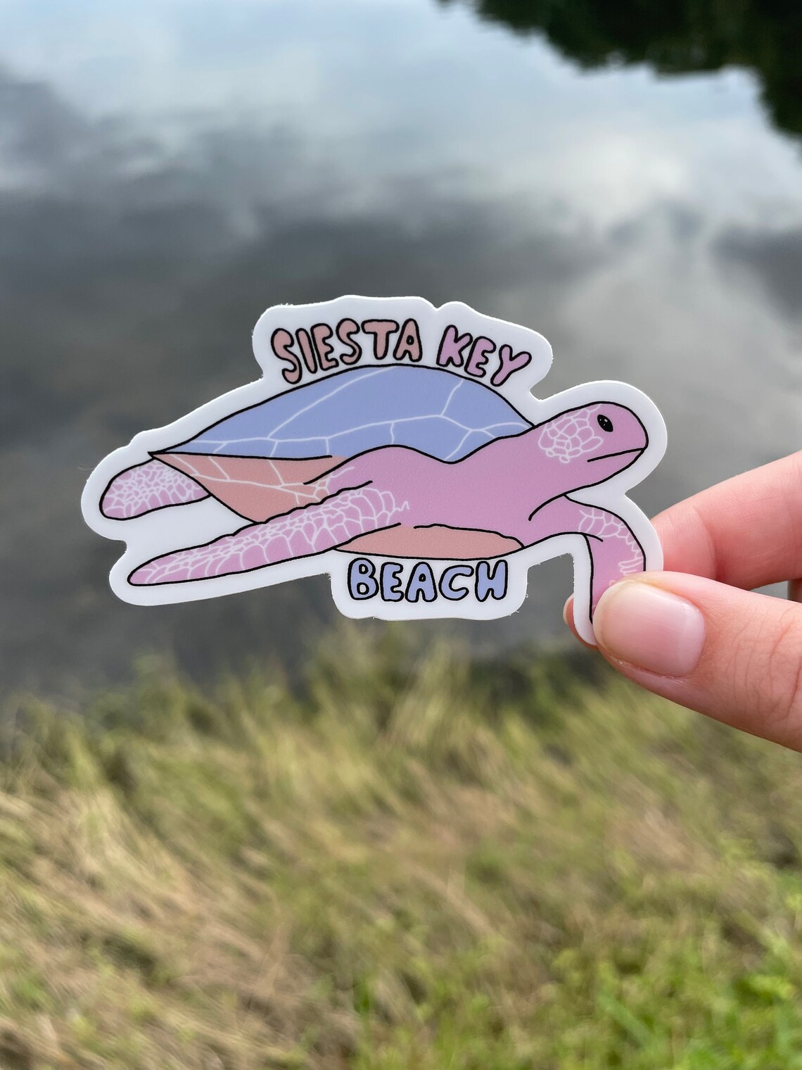 Siesta Key Beach Turtle Sticker Siesta Key Sarasota Florida Beaches ...