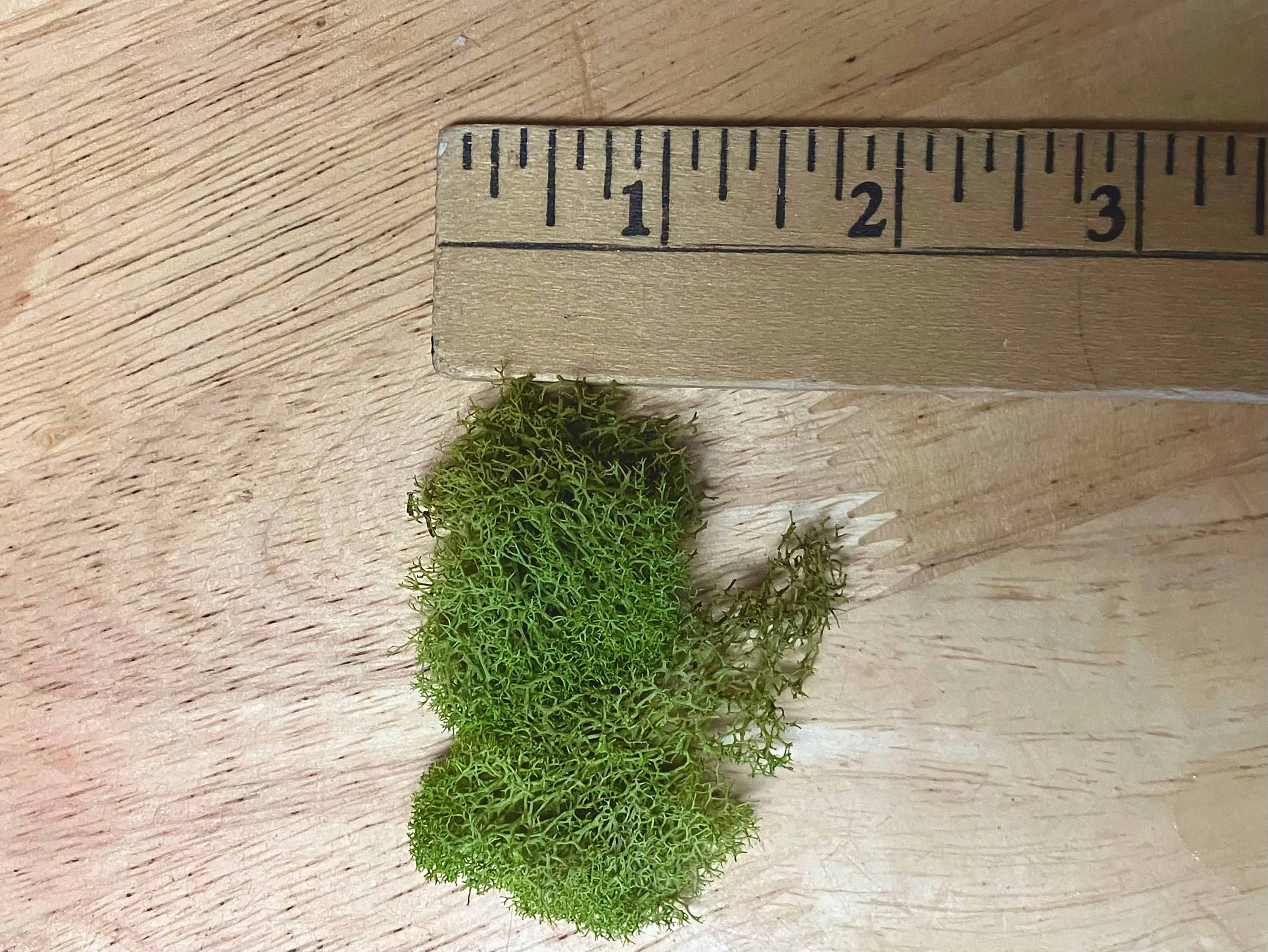 Moss Hair Clips, Cottage Core, Fairy Cosplay - Etsy