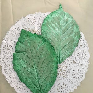 Leaf Casting - Etsy