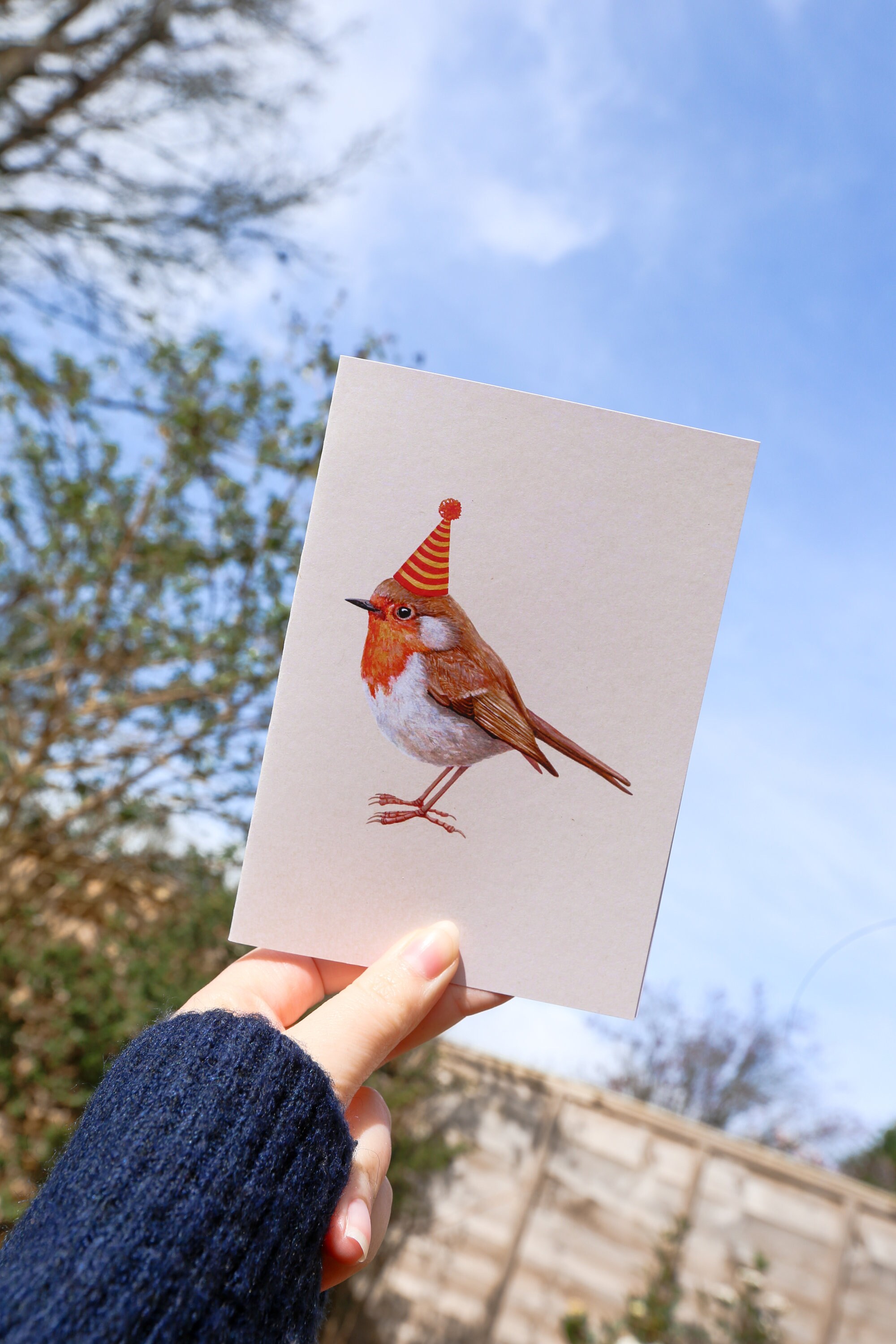 Robin Birthday Card Happy Birthday Bird Card Party Birds - Etsy