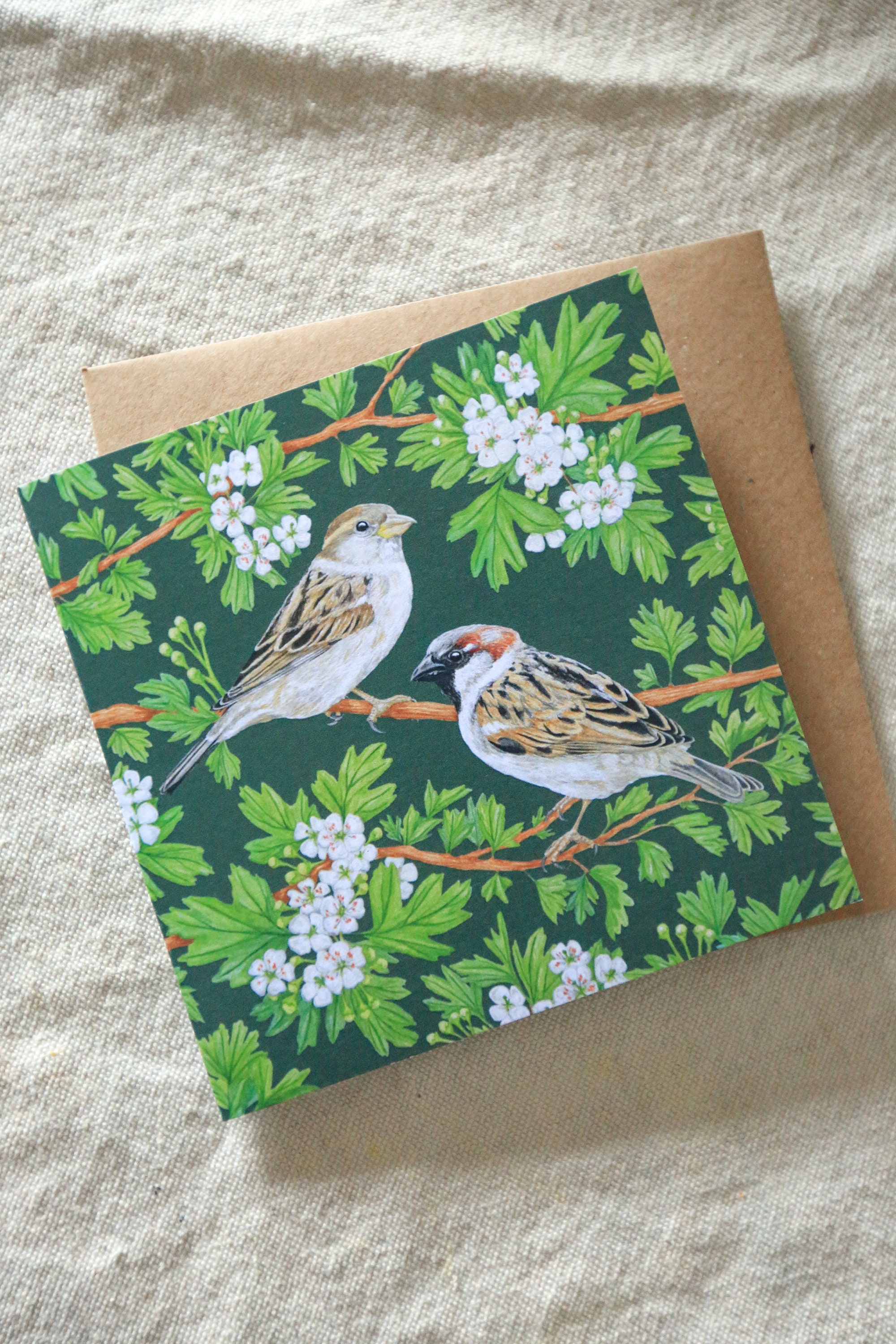 Sparrows and Hawthorn Greetings Cards - Etsy