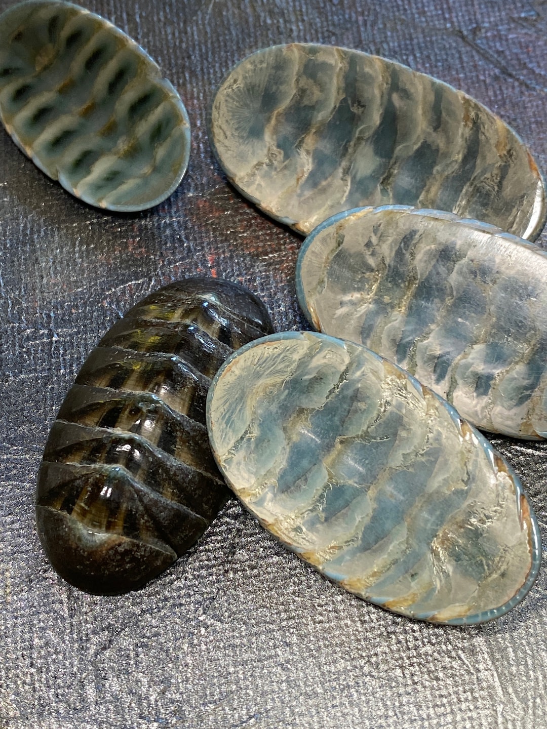 Seagreen Chiton Shell Cabochon Resin Filled Earring or Brooch - Etsy