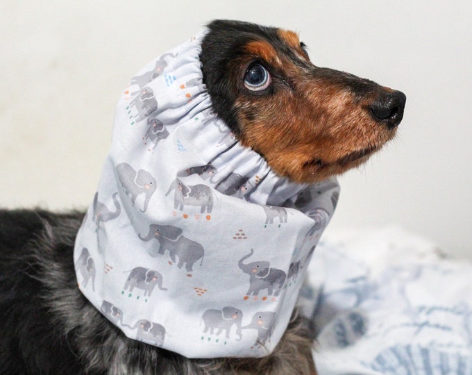 Elephant Dog Snood, Cavalier Dog Snood, Cocker Spaniel Dog Snood ...