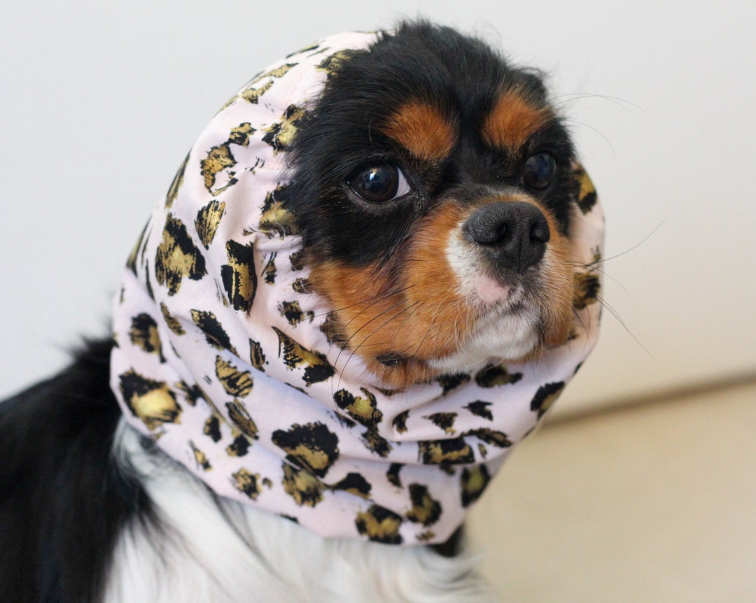 Pink Leopard Dog Snood, Cotton Pet Snood, Cavalier King Charles Spaniel ...