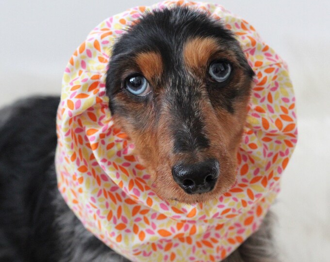 Orange Pink and Yellow Dog Snood Cotton Pet Snood Cavalier - Etsy