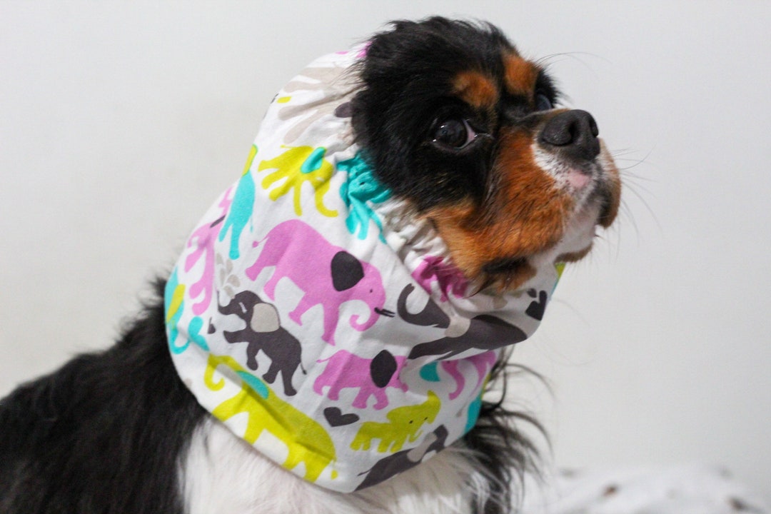Elephant Dog Snood, Cotton Dog Snood, Cavalier King Charles Spaniel ...