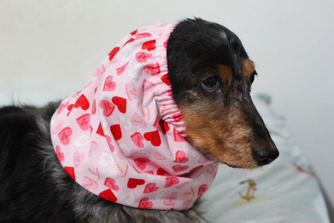 Hearts Dog Snood, Valentine’s Day Dog Snood, Cavalier Dog Snood, Cocker ...