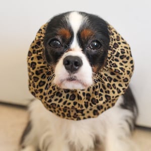 Leopard Dog Snood- Cavalier Dog Snood- Cotton Dog Snood- Brown Dog ...