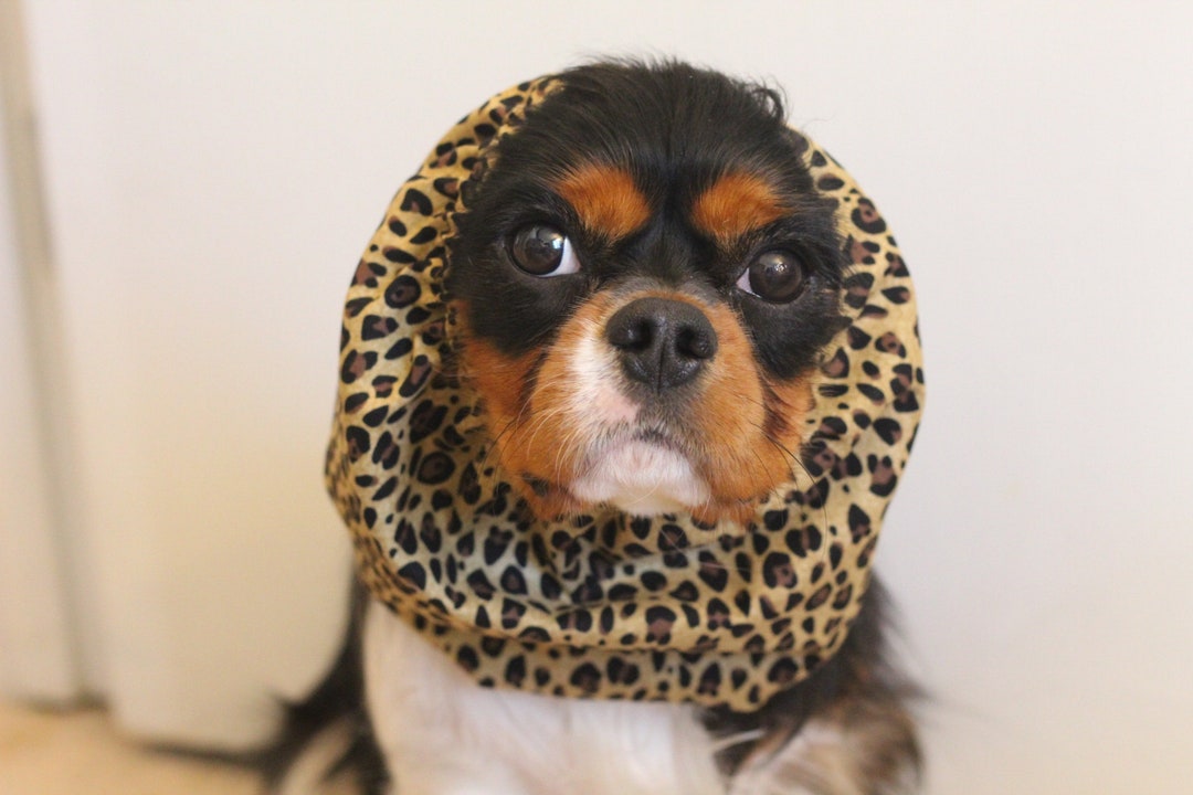 Leopard Dog Snood- Cavalier Dog Snood- Cotton Dog Snood- Brown Dog ...