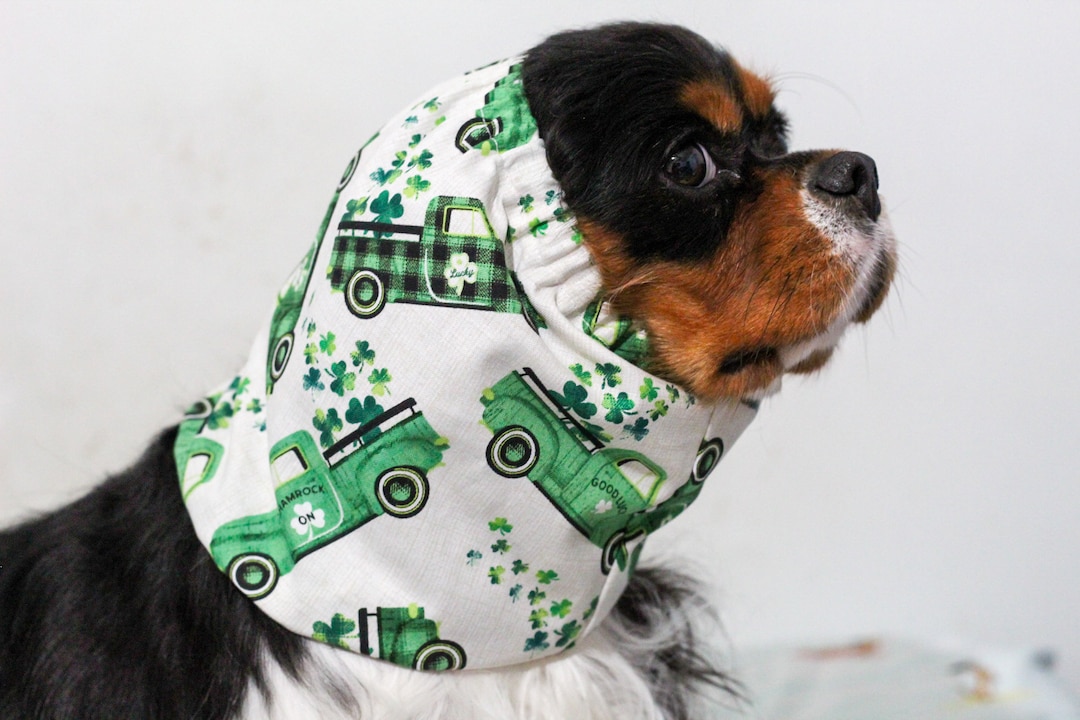 Pickup Truck Dog Snood, St. Patricks Dog Snood, Shamrock Dog Snood ...
