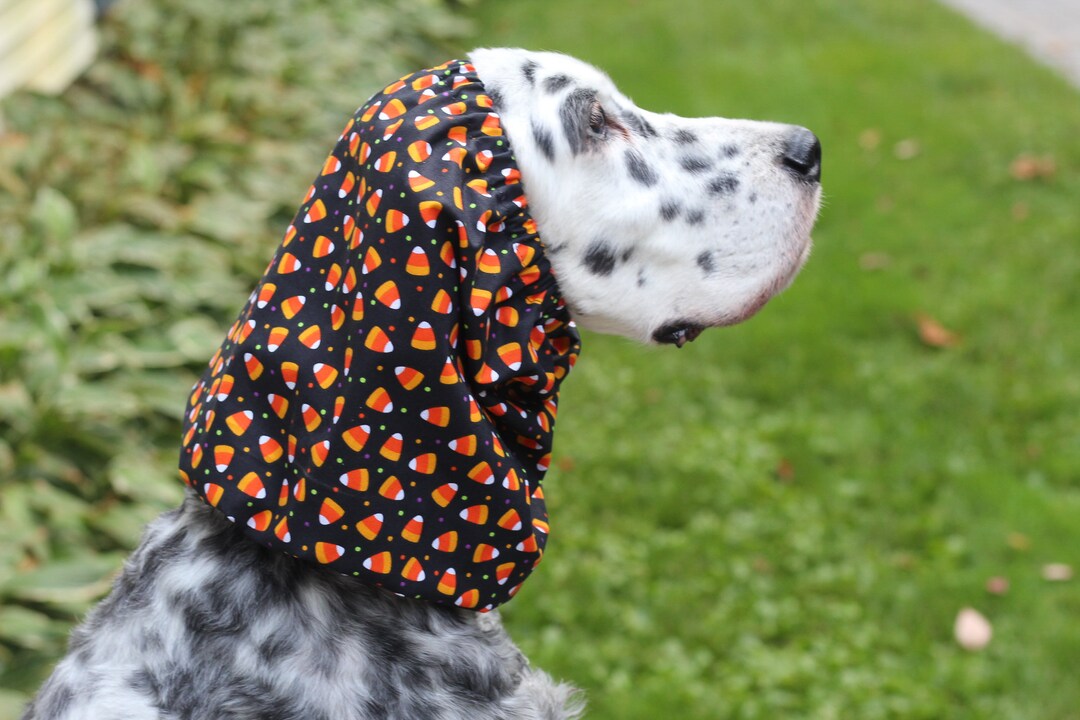 Candy Corn Dog Snood, Cotton Pet Snood, Cavalier Snood, Fall Dog ...