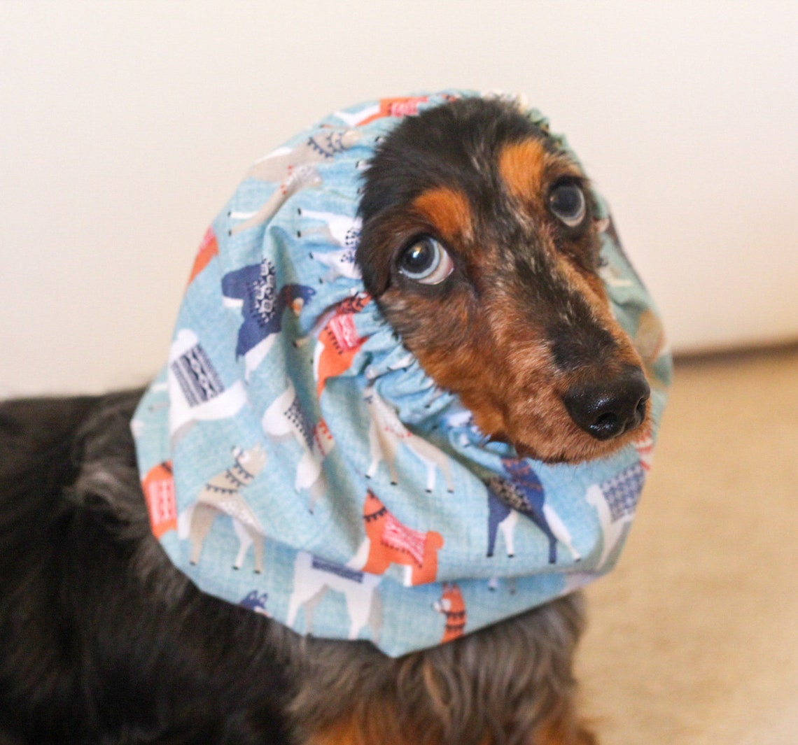 Llama Dog Snood Cotton Pet Snood Cavalier King Charles - Etsy
