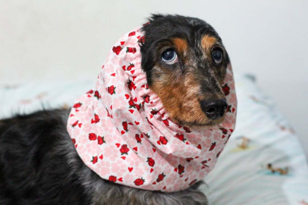 Paw Print Dog Snood, Roses Dog Snood, Valentines Day Dog Snood ...