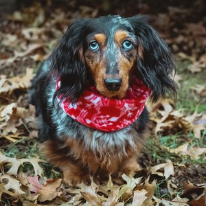 Red Snowflake Dog Snood Scarf Dog Neck Warmer Dog Fleece Snood Red Dog ...