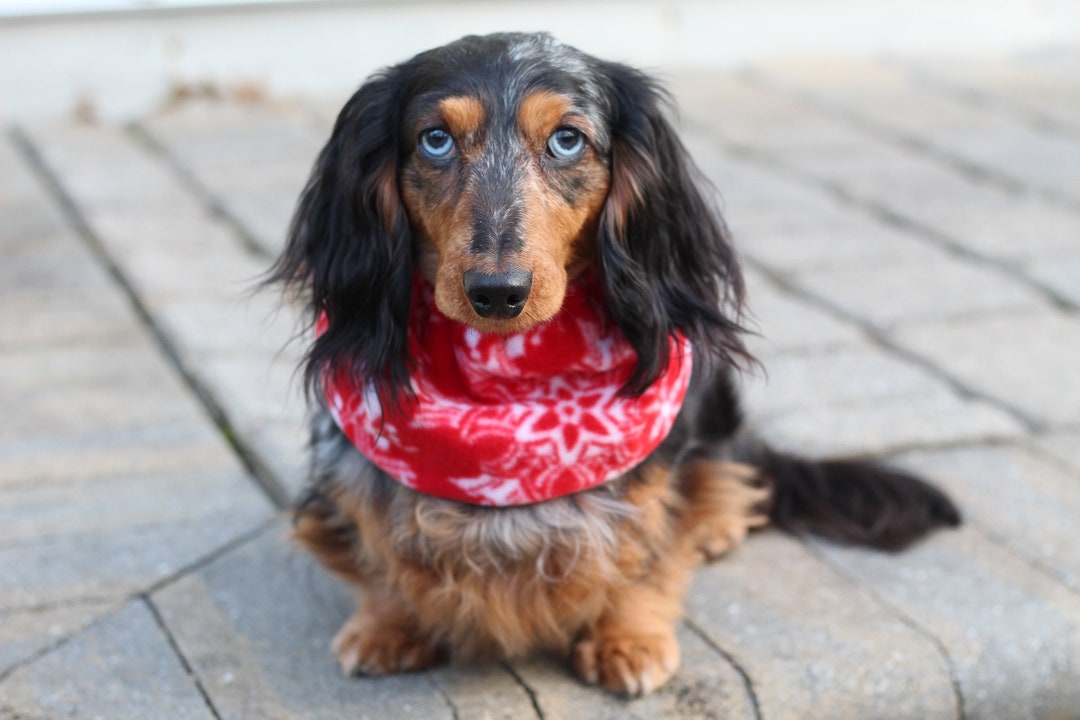 Red Snowflake Dog Snood Scarf Dog Neck Warmer Dog Fleece Snood Red Dog ...