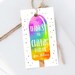 Editable Ice Cream Birthday Favor Tag Pool Party Thank You Gift Tag ...