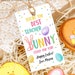Editable Teacher Gift Tags Easter You're the Best Teacher - Etsy