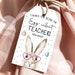 Editable Easter Gift Tags Egg-cellent Teacher Appreciation Classroom ...