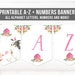 Farm Animals Birthday Banner A-Z Alphabet Numbers Banner Happy | Etsy