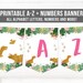 Dinosaur Birthday Banner A-Z Alphabet Numbers Banner First Happy ...