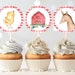 Barnyard Birthday Cupcake Toppers Favor Tags Farm Birthday - Etsy