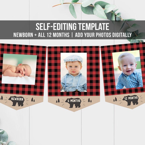 Buffalo Photo - Etsy