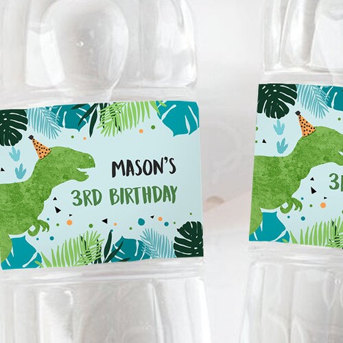 Editable Dinosaur Water Bottle Labels Dinosaur Birthday T-rex - Etsy
