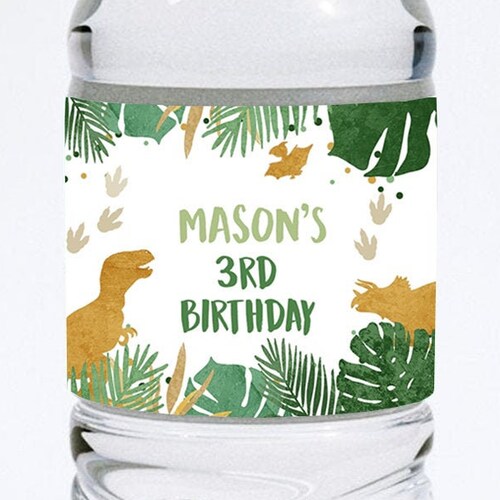 Editable Dinosaur Water Bottle Labels Dinosaur Birthday T-rex - Etsy