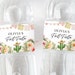 Editable Fiesta Water Bottle Labels First Fiesta Birthday Decor Mexican ...