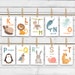 Animal Alphabet Card Set Alphabet Flash Cards Abc Nursery Wall - Etsy