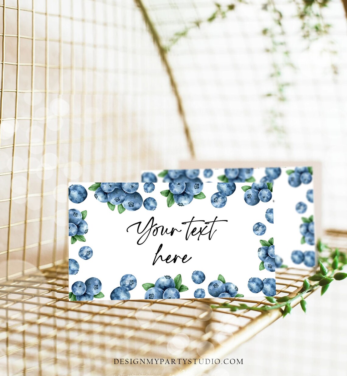 Editable Blueberry Food Labels Birthday Party Place Card Food Tents ...