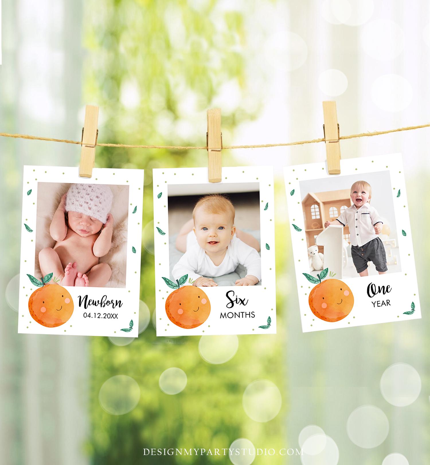 Editable Little Cutie Monthly Photo Banner Boy Girl Birthday Oranges ...
