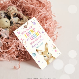 Editable Easter Gift Tags Easter You're the Best Friend Any Bunny Could ...
