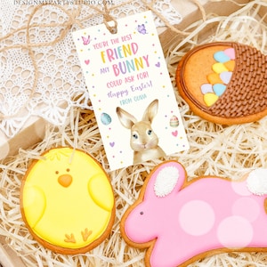 Editable Easter Gift Tags Easter You're the Best Friend Any Bunny Could ...