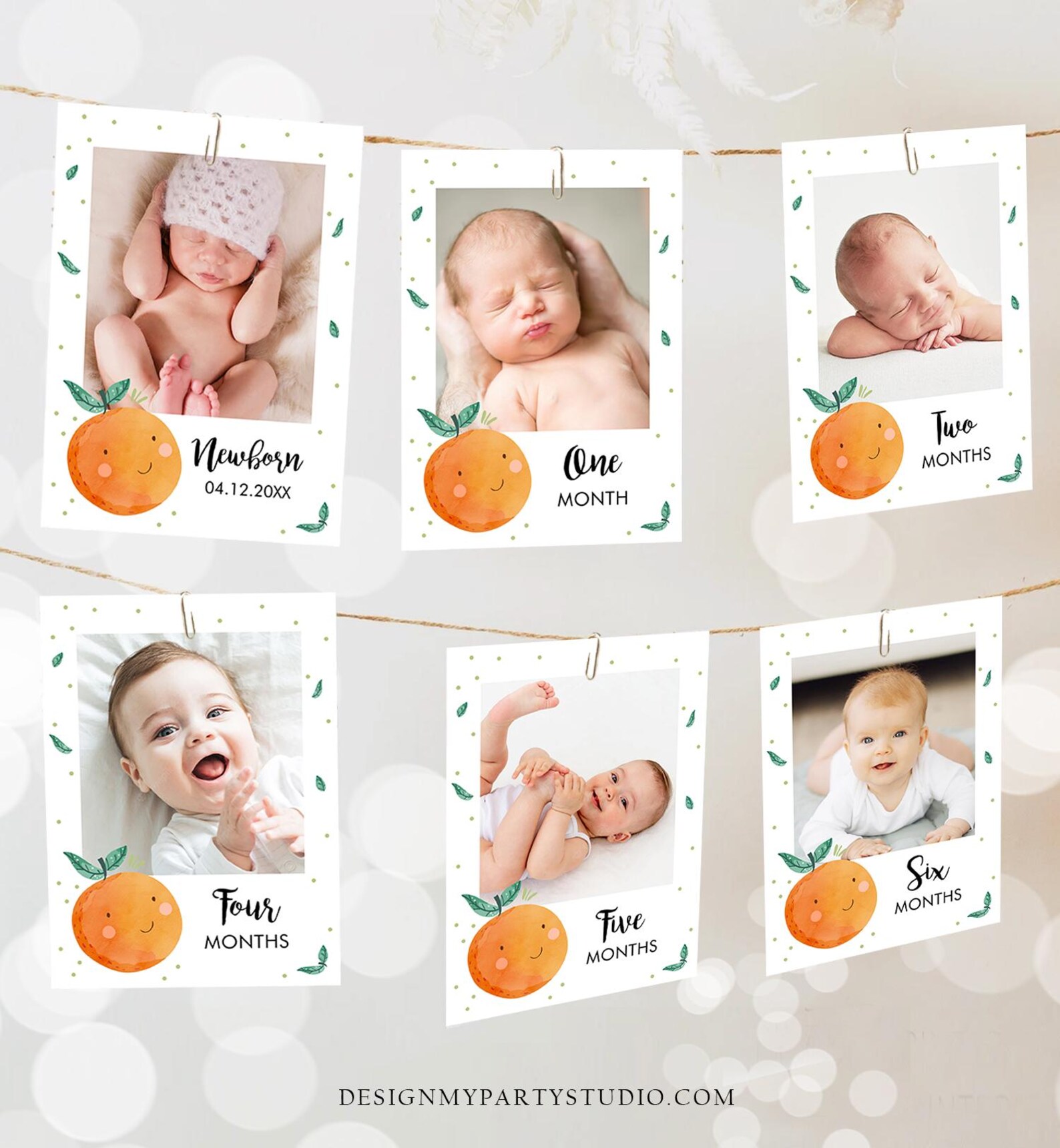 Editable Little Cutie Monthly Photo Banner Boy Girl Birthday Oranges ...