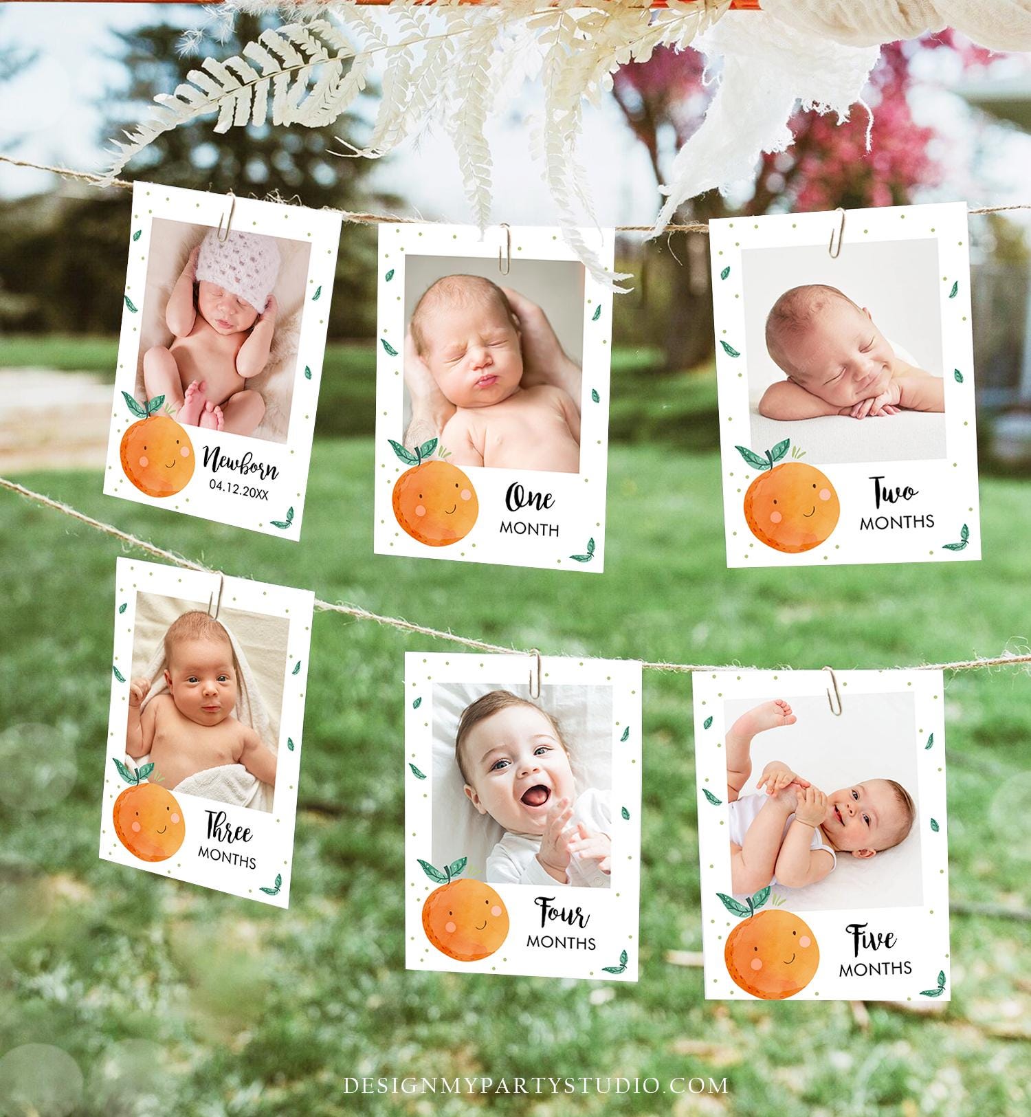 Editable Little Cutie Monthly Photo Banner Boy Girl Birthday Oranges ...