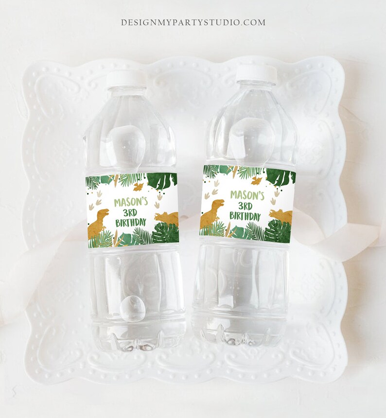 Editable Dinosaur Water Bottle Labels Dinosaur Birthday T-rex - Etsy